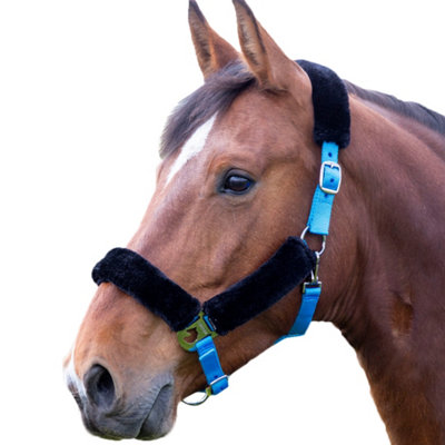 Shires Fleece Lined Horse Headcollar Blue (Cob) | DIY at B&Q