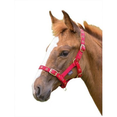 Shires Foal Headcollar Red (Foal/Mini) | DIY at B&Q