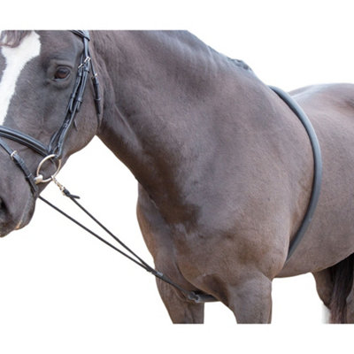 Shires Horse Lunging Aid Black (One Size) | DIY at B&Q