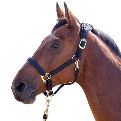 Shires Topaz Nylon Horse Headcollar Black (Cob)