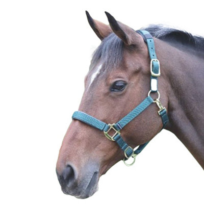 Shires Topaz Nylon Horse Headcollar Dark Green (Full)