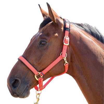Shires Topaz Nylon Horse Headcollar Orange (Cob)