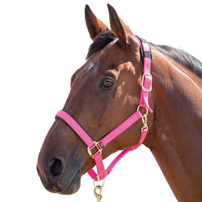 Shires Topaz Nylon Horse Headcollar Pink (Cob) | DIY at B&Q