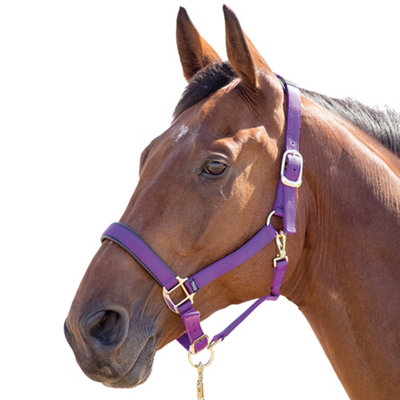Shires Topaz Nylon Horse Headcollar Purple (Cob) | DIY at B&Q