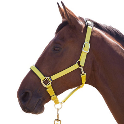 Shires Topaz Nylon Horse Headcollar Yellow (Cob) | DIY at B&Q