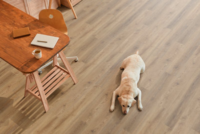 Signature Collection Luxury Vinyl Click Planks - Natural Oak