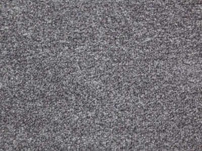 Signature Twist Bleach Cleanable Carpet by Remland (Cirrus, 5m x 4m)