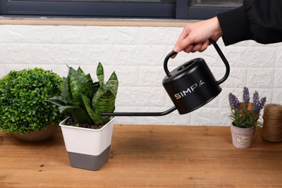 SIMPA 1.1L MATT BLACK WATERING CAN WITH LONG EASY POUR SPOUT