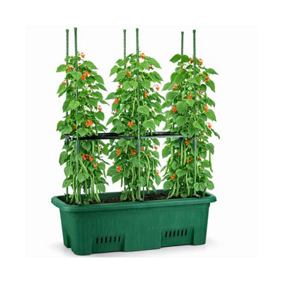 simpa Dark Green Climbing Plants Grow Kit: 70cm Trough Pot & Trellis Stakes