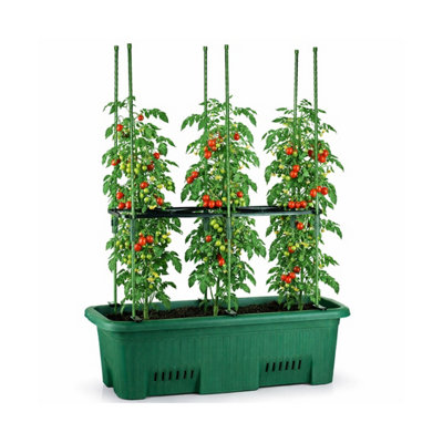simpa Dark Green Climbing Plants Grow Kit: 70cm Trough Pot & Trellis Stakes