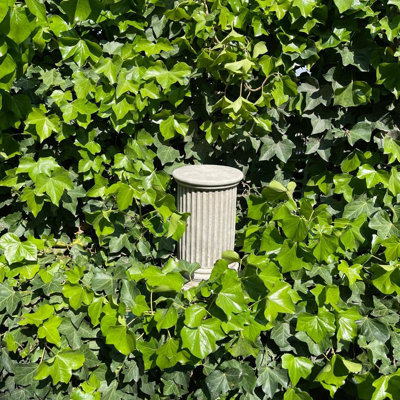 Simple Roman Style Short Pillar Column