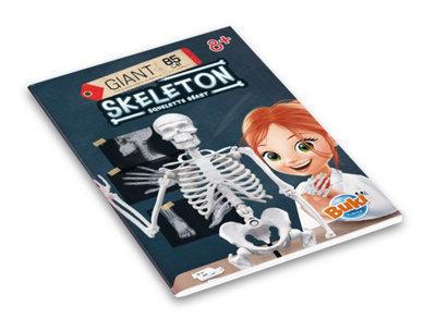 Skeleton 85cm Assembly Education Kit