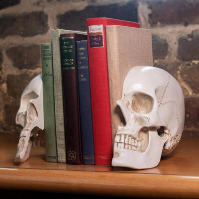 Skull Design Book Shelves & Storage