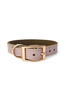 Skye & Murphy Luxury Padded Leather Dog Collar