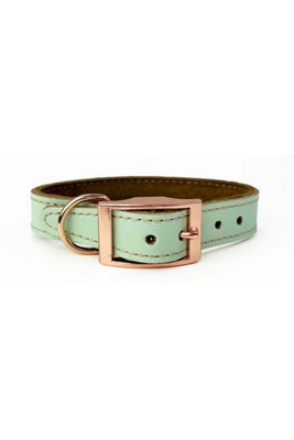 Skye & Murphy Luxury Padded Leather Dog Collar