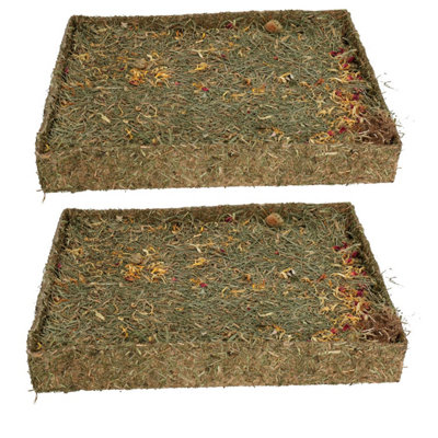 Small Animal Pet Treat Rabbit Guinea Pig Nibble 'N' Dig Meadow 2 Pack