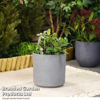 Small Grey Cylinder Stone Effect Planter Outdoor Garden Plastic 26cm ...