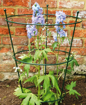 Small Peony Support Ready to Rust (Pack of 2) - Steel - L40.6 x W40.6 x H63.5 cm | DIY at B&Q