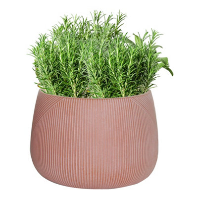 Small Terracotta Symmetry Stripe Fibre Clay Indoor Outdoor Summer ...