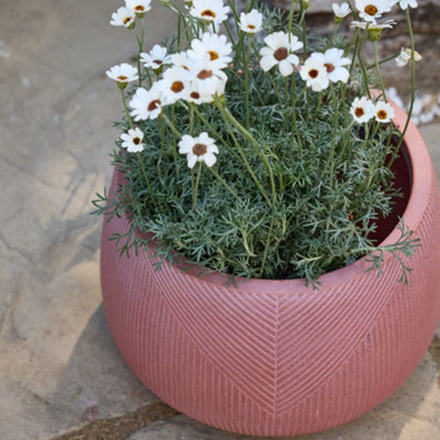 Small Terracotta Symmetry Stripe Fibre Clay Indoor Outdoor Summer ...