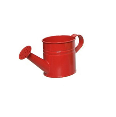 Small Zinc Childrens Watering Can Flower Plant Pot Garden Watering Can ...