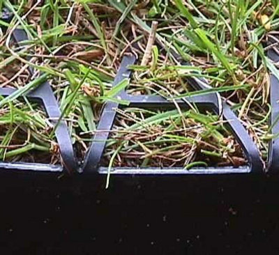 Smartedge Flexible Garden Border Edging for Lawn Edge Landscaping for ...