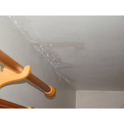 SmartSeal Anti-Condensation Paint, Brilliant White (2.5L) Bathroom ...