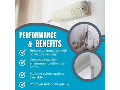 SmartSeal - Anti Mould Paint - Brilliant White (5L) For Bathroom ...