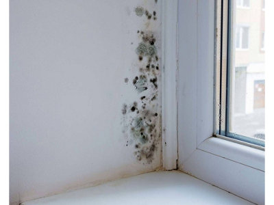 SmartSeal - Anti Mould Paint - Brilliant White (5L) For Bathroom ...