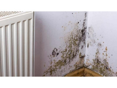 SmartSeal - Anti Mould Paint - Magnolia (5L) For Bathroom, Kitchen and ...