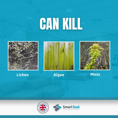 Smartseal Decking Cleaner, Fast Acting Deck Cleaner, Removes Moss ...