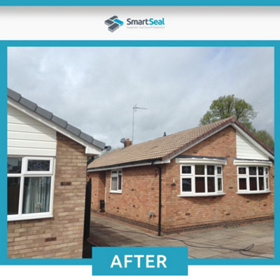 Smartseal - Green Clear Pro, Lichen and Algae Killer for Roofs ...