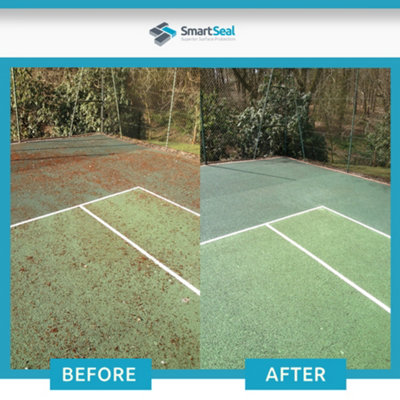 Smartseal - Green Clear Pro, Lichen and Algae Killer for Roofs ...