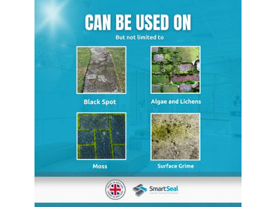 Smartseal - Patio Cleaner Xtreme, Black Spot Patio Cleaner, Dirt and ...