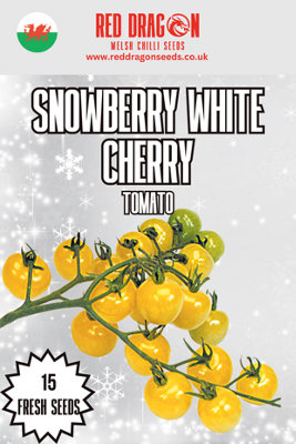 Snowberry White Cherry Tomato Seeds - 15 Fresh Seeds