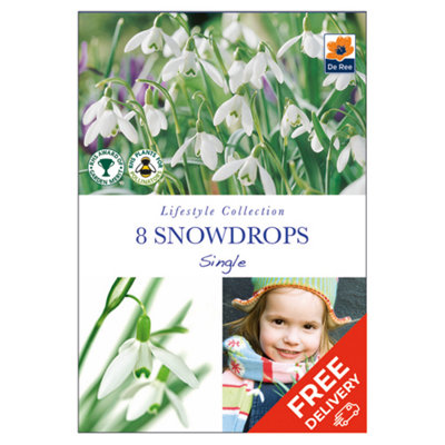 Snowdrops Single - Spring Flower Bulbs - 8 Bulbs | DIY at B&Q
