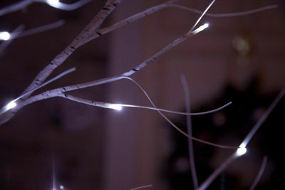 Snowtime 4ft / 120cm Light Up Birch Tree with Ice White LEDs in Twinkle ...
