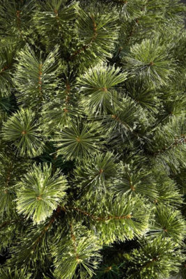 SnowTime Arcadia 7ft Full Cashmere Christmas Tree