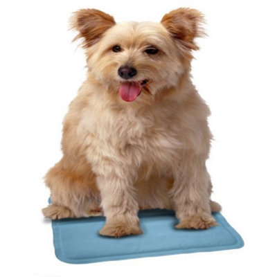 Snugglesafe Cool Pad Lge 40x30cm