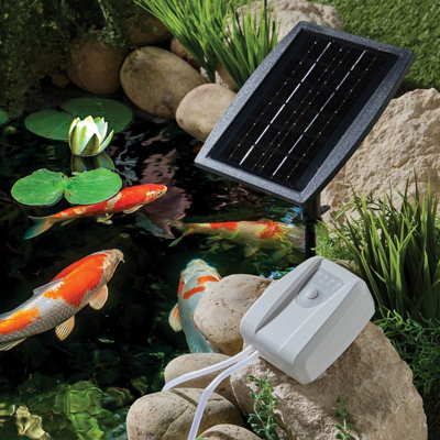 Solar-Powered Pond Oxygenator, Enhances Fish & Plant Life, Reduces ...