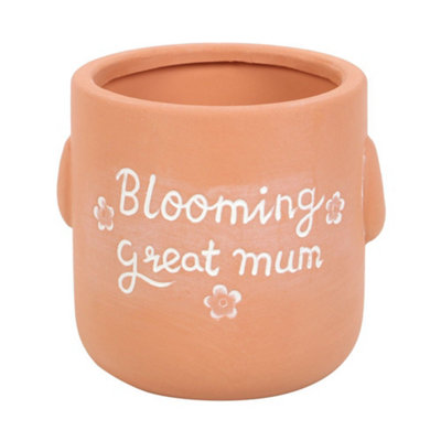SOMETHING DIFFERENT BLOOMING GREAT MUM SITTING PLANT POT TERRACOTTA ...