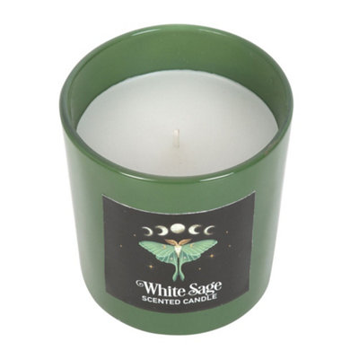 Something Different Luna Moth White Sage Scented Candle White/Green ...