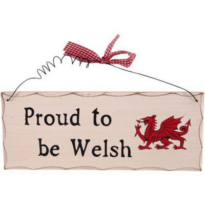 Something Different Proud To Be Welsh Hanging Sign Multicoloured (One ...