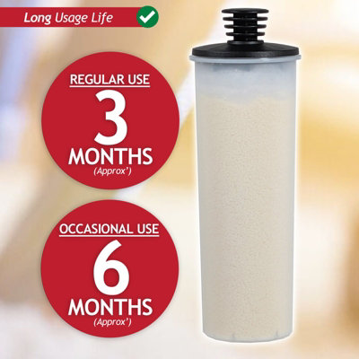 SPARES2GO Descaling Filter Cartridge for Karcher SC2 SC3 127V BR SC3MX ...