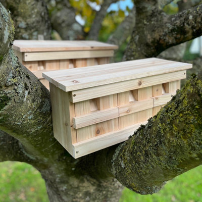 Sparrow Colony Terrace Wooden Nesting Box with Removable Nest Fronts ...
