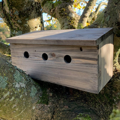 Sparrow Colony Wooden Nesting Box Terrace Bird House