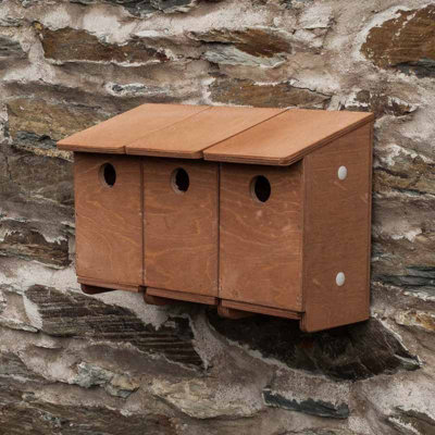 Sparrow Terrace Nest Box - Plywood - L17 x W39 x H24 cm | DIY at B&Q