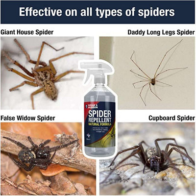 Spear & Jackson Ant Mouse and Spider Repellent 3 x 500ml