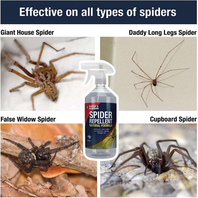 Spear & Jackson Spider Repellent 500ml