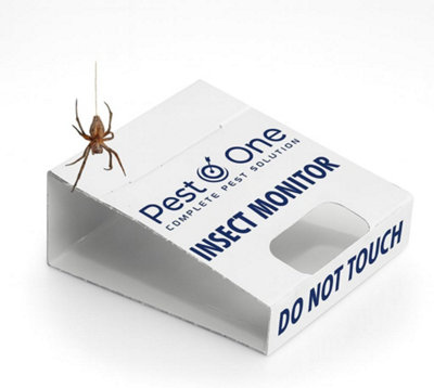 Spider and Crawling Insect Sticky Pads Non Toxic Indoor Spider Catcher ...